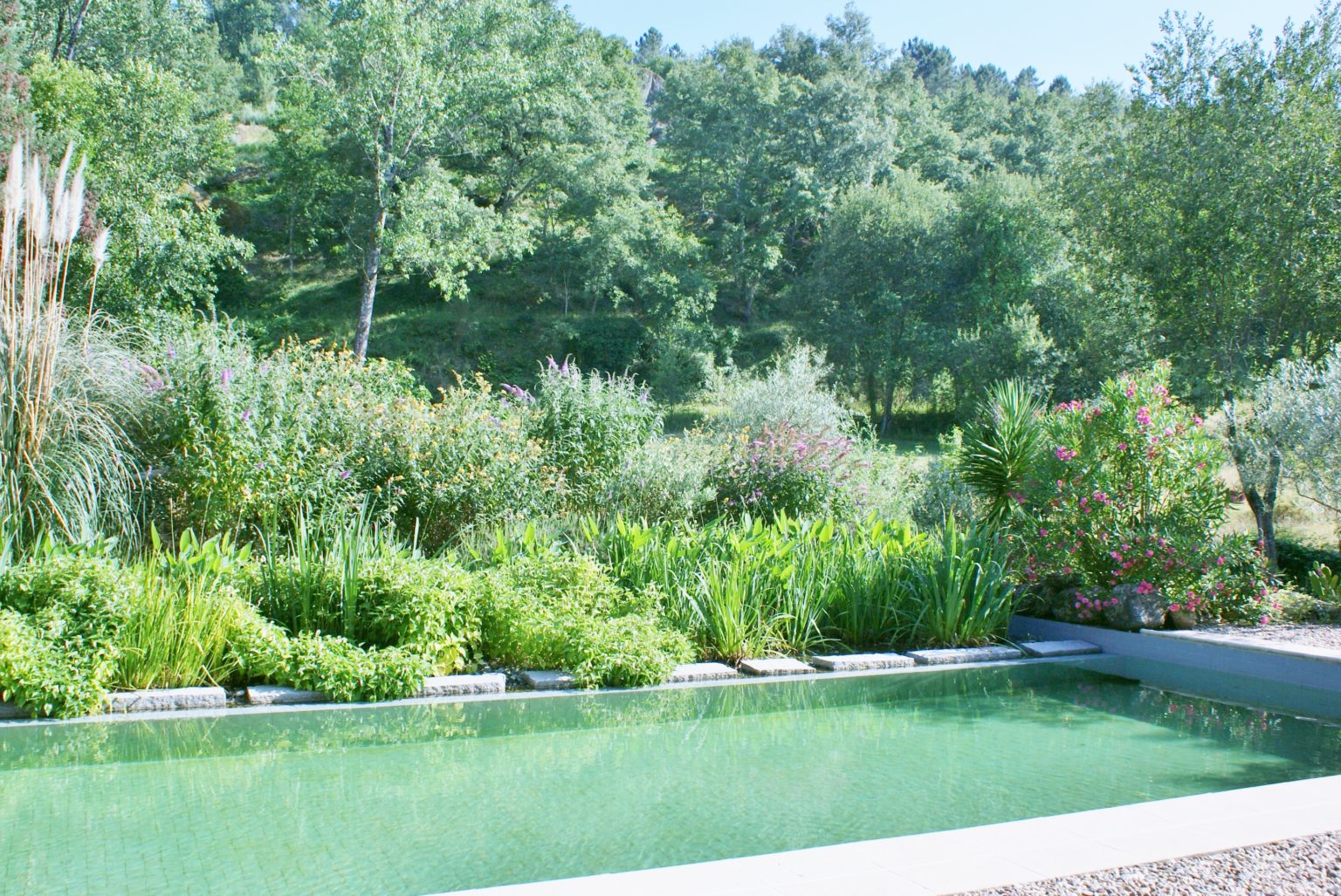 Ecological swimming pool - Quinta do Retiro